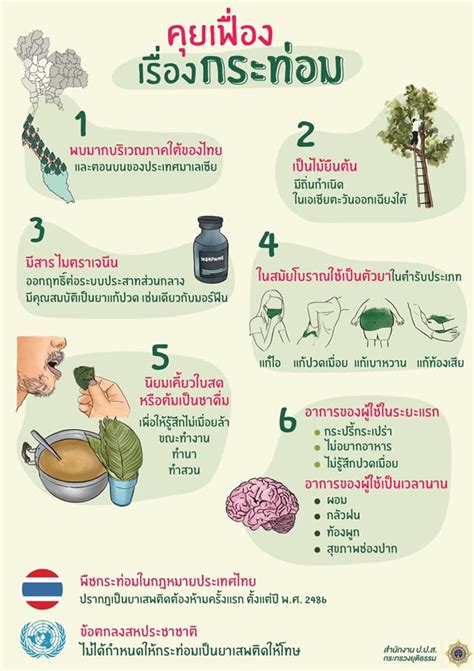 สื่อประชาสัมพันธ์เพื่อสร้างการรับรู้และภูมิคุ้มกันยาเสพติดเกี่ยวกับพืชกระท่อม