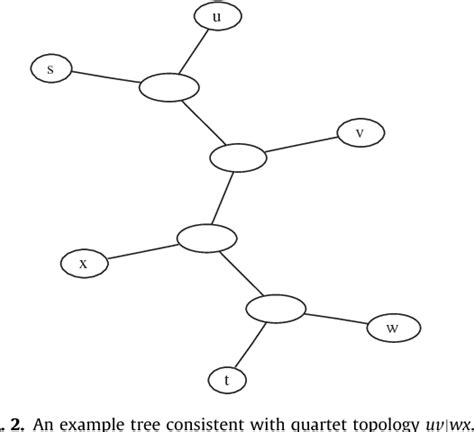 Figure 1 From Author S Personal Copy A Fast Quartet Tree Heuristic