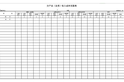 产品收入成本预算表 我拉网