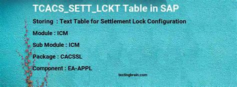 TCACS SETT LCKT SAP Table For Text Table For Settlement Lock Configuration