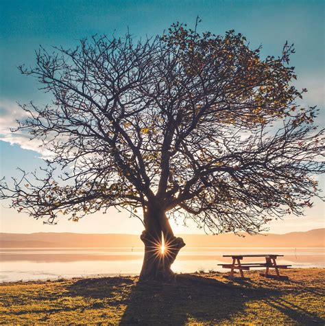 Power Of Positive Thinking Transform Your Life Today By Keshav Rana The Inner Compass Medium