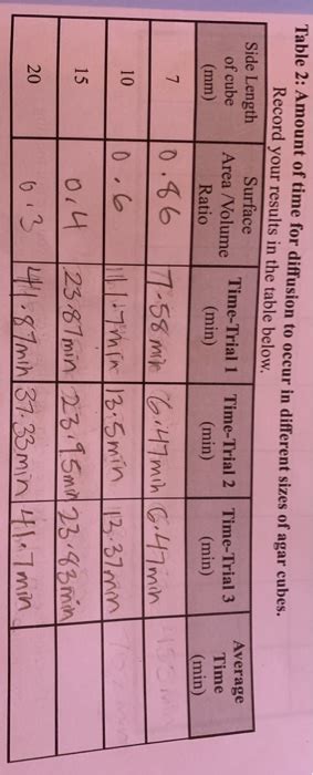 Diffusion In Agar Cubes Lab Answers