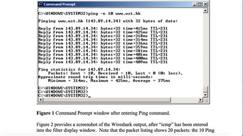 Solved Icmp Messages Generating By The Ping Program Icmp