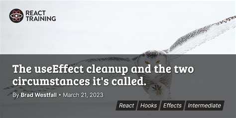 Useeffect Cleanup Build A Usekeypress Hook In React Caktus Group