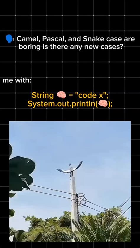 Code X Code X Tamil • Instagram Photos And Videos