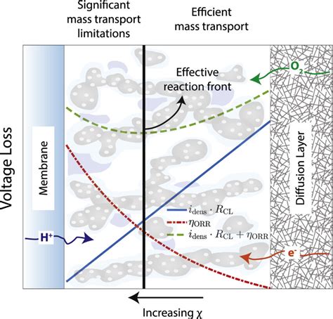 Schematic For Calculation Of Cathode Cl Utilization Factor The Download Scientific Diagram