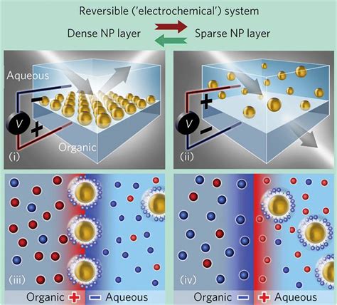 Reversible Assembly Of Nanoparticles Theory Strategies And Computational Simulations
