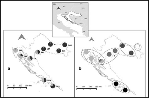Results Of Bayesian Clustering Analysis A Structure Solution With Download Scientific Diagram