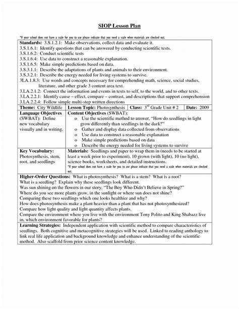 Siop Lesson Plan Example 2nd Grade Printable Pdf Template