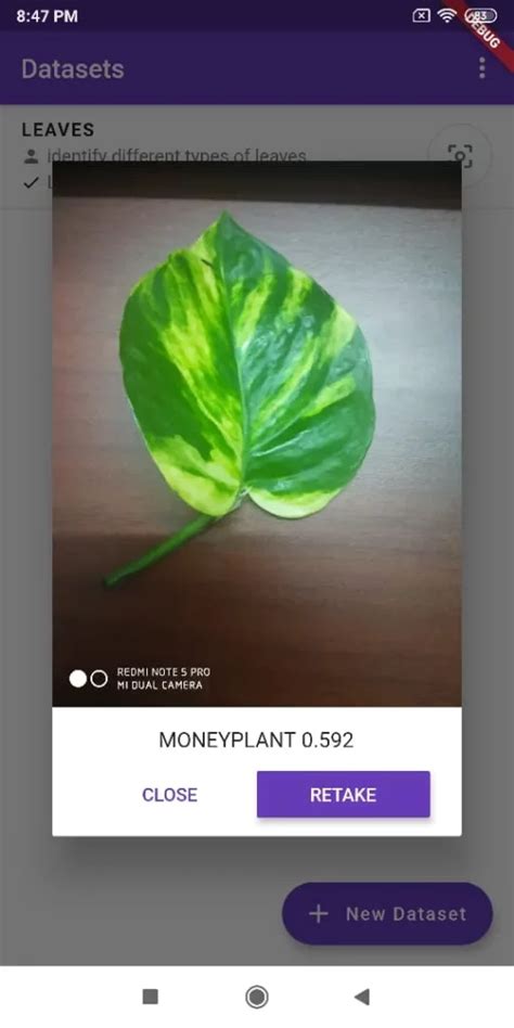 Build Custom Image Classification Models For Mobile With Flutter Ml