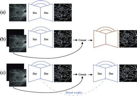 Considered Cnn Architectures A Unet B Shn And C Iunet For