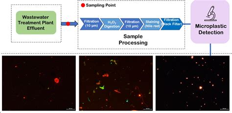 News About Micropastics Detection Wasser 3 0