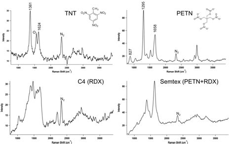 Raman Pl 200 Photon Systems