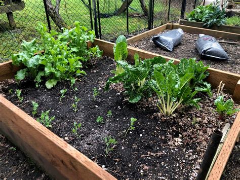 Garden Mapping With Gis “time For Spring Mapping Synthos Your Gis