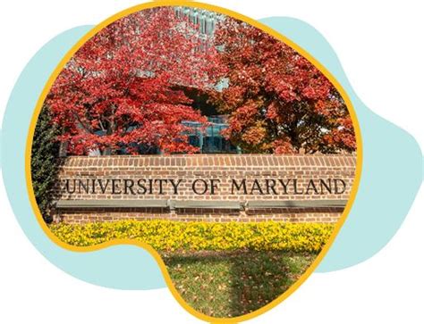 University Of Maryland Baltimore County Rankings Courses Fees