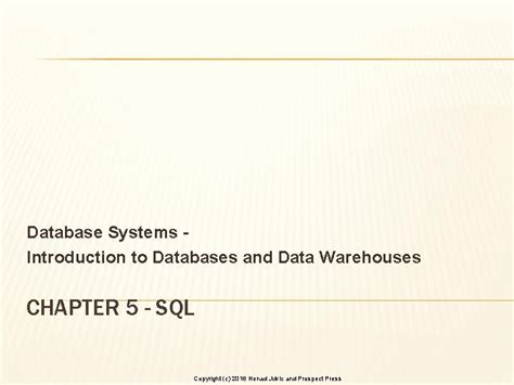 Database Systems Introduction To Databases And Data Warehouses