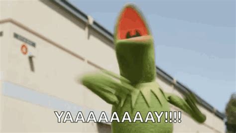 Kermit Yay  Kermit Yay Smh Discover And Share S