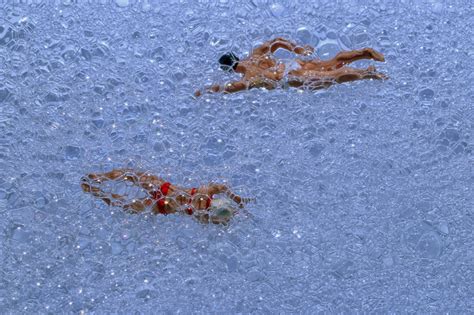 배경 화면 푸른 빨간 사람들 화이트 남자 매크로 레이디 수영 복장 비누 작은 거품 비키니 헤엄 치는 사람 트렁크스 호 인물 속도 월요일