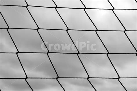 네트워크 사각형 패턴 연결 격자 사진이미지일러스트캘리그라피 Crowdsub작가