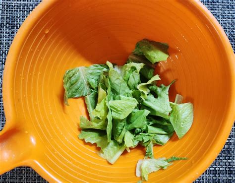 상큼하고 라이트한 바질페스토 샐러드 파스타 만들기푸실리 면 활용 상큼하고 라이트한 바질페스토 샐러드 파스타 만들기푸실리 면 활용