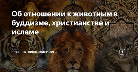 Об отношении к животным в буддизме христианстве и исламе ТРИКСТЕР Научно о религии Дзен