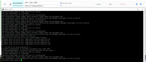 Debian Buster 10 Connectivity Issues Community Support Zerotier