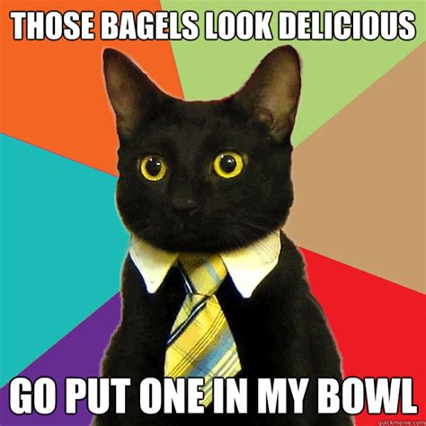 Those Bagels Look Delicious Go Put One In My Bowl Business Cat