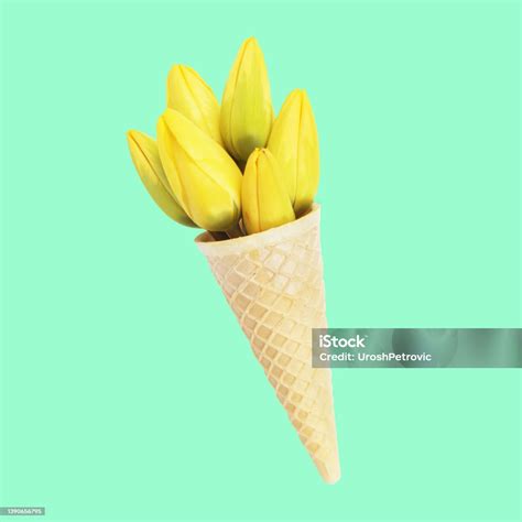 아름다운 천연 노란색 튤립 꽃으로 만든 아트 꽃 아이스크림 콘 트렌디 한 다채로운 피는 추상적 인 아이디어와 여름 모양 구성의 원뿔 상징 꽃이 만발한 식물학 개념 0명에