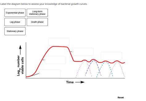 Solved An Experiment Was Done To Determine The Decimal