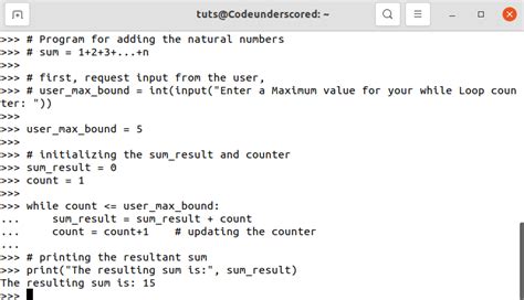 Python While Loop Statements With Examples Code Underscored