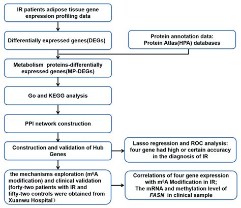 Flowchart Of The Study Design Download Scientific Diagram