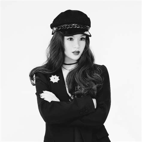 歌手海燕图片大全海燕的图片大全大图第2页大山谷图库