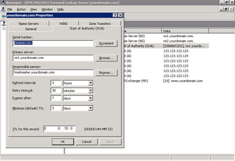 Windows Dns Server Install Dns Server Windows 2003 Dns Server Dns Server Tutorial
