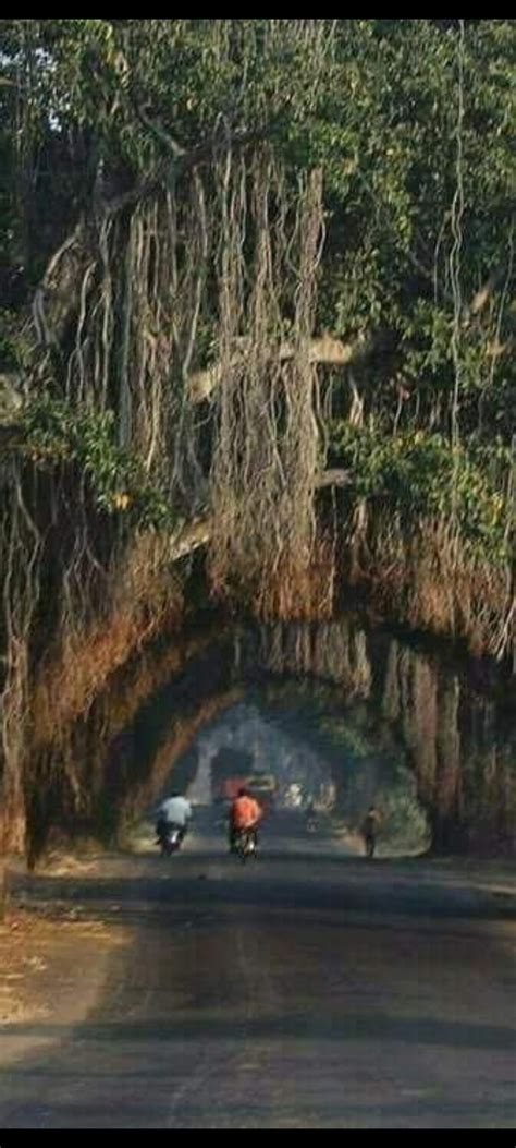 Sunil Pradhan Posted On Linkedin