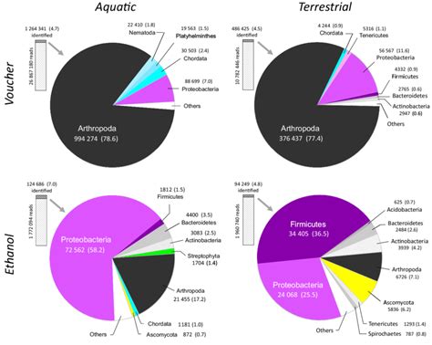 Taxonomic Composition Of The Identified Dna Reads Megan Based
