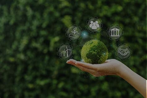 What Automation Can Do In A Qa Ecosystem Verbat