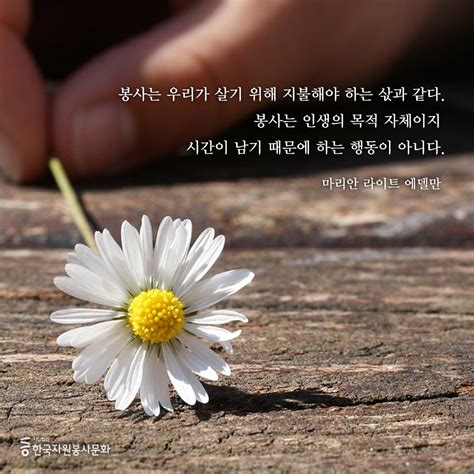 Vitamin V 1~10 한국자원봉사문화