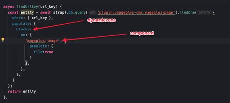 Strapi Custom Api In Plugin Questions And Answers Strapi Community