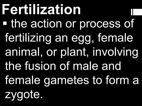 Spore And Cone Bearing Plants Vegetative Propagation Pptx Gardening Home And Garden