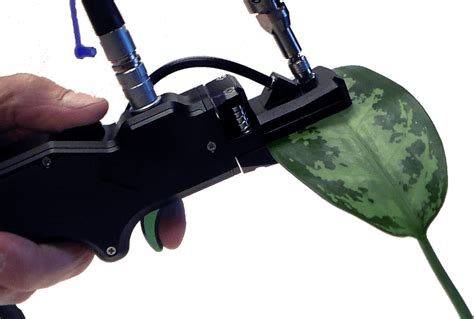 Press Release Identifying And Mapping Invasive Species Spectral Evolution