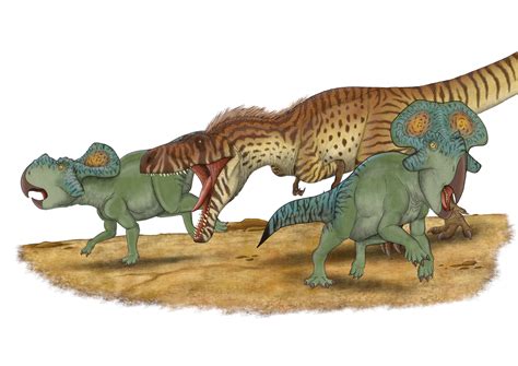 Artstation Young Tarbosaur Attacking Protoceratops