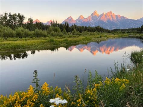 Premium Photo Sunrise At Schwabacher Landing Grand Teton National Park