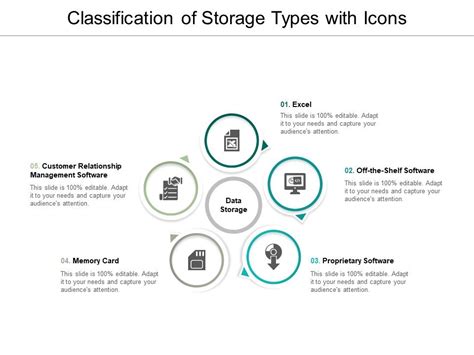 Classification Of Storage Types With Icons Ppt Powerpoint Presentation Pictures Structure