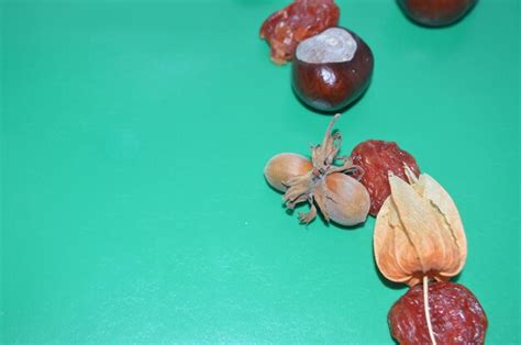 Premium Photo High Angle View Of Insect On Table