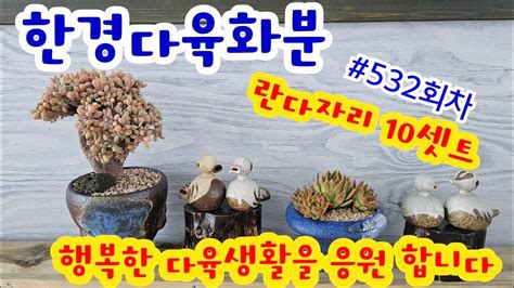 2024년 6월532회차 오전 영상 한경다육화분 수제공방분 공방분 다육화분 화분 다육이 다육식물 한경화분 야생화 아프리카식물 란다자리 Youtube