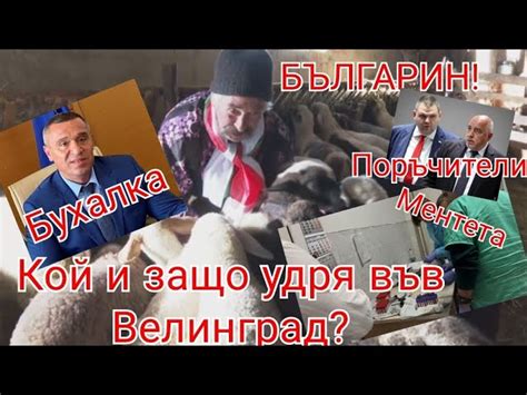 КОЙ И ЗАЩО УДРЯ ВЪВ ВЕЛИНГРАД ЧАСТНАТА ДЪРЖАВА НА ПЕЕВСКИ И БОРИСОВ Мафията изяде всичко