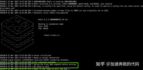 初探 redis持久化之rdb 知乎