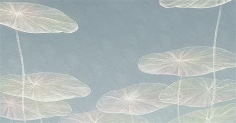 자연 추상적인 배경 나뭇잎의 그림입니다 Art Of Dream Concept 로터스 사진 Unsplash의 자연 이미지