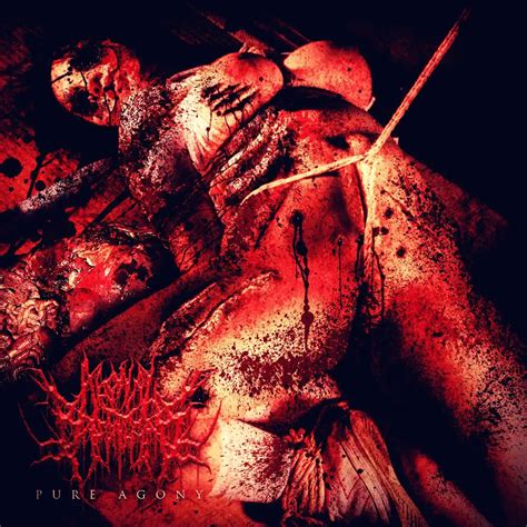 Agonal Breathing Intro Lyrics Genius Lyrics