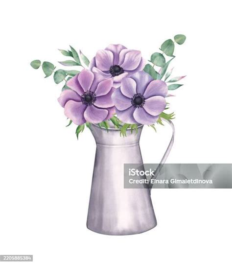 보라색 아네모네를 곁들인 수채화 꽃다발 유칼립투스 가지 잎 손으로 그린 그림 주전자에 아름 다운 꽃 꽃 Bridal Show에 대한 스톡 벡터 아트 및 기타 이미지 Istock